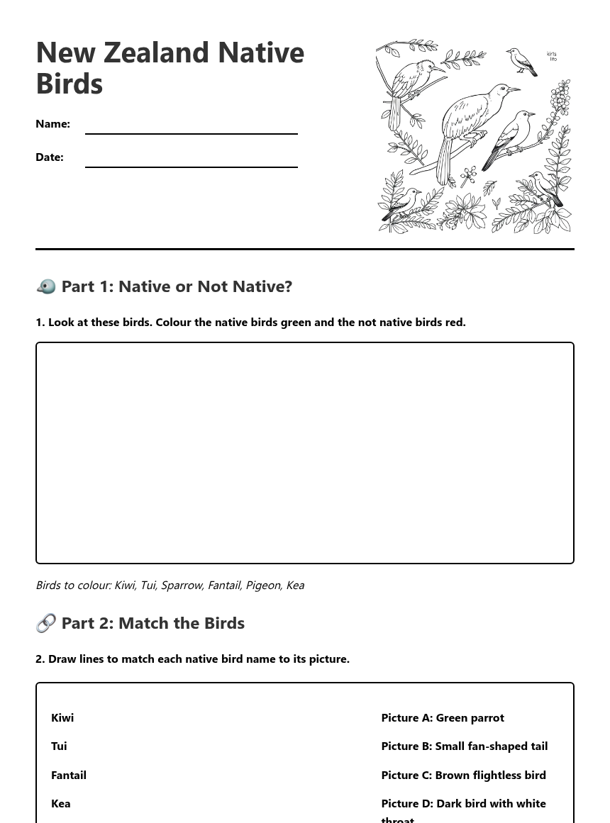 New Zealand Native Birds — Free Printable Worksheet for Science | Kuraplan