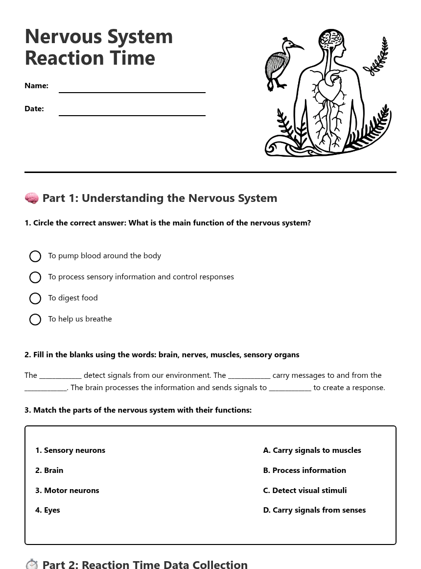 Nervous System Reaction Time — Free Printable Worksheet for Science ...