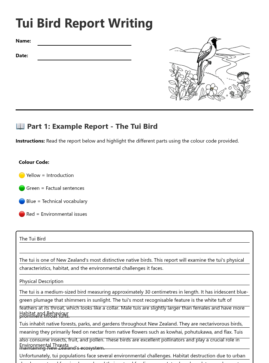 Tui Bird Report Writing — Free Printable Worksheet for English | Kuraplan