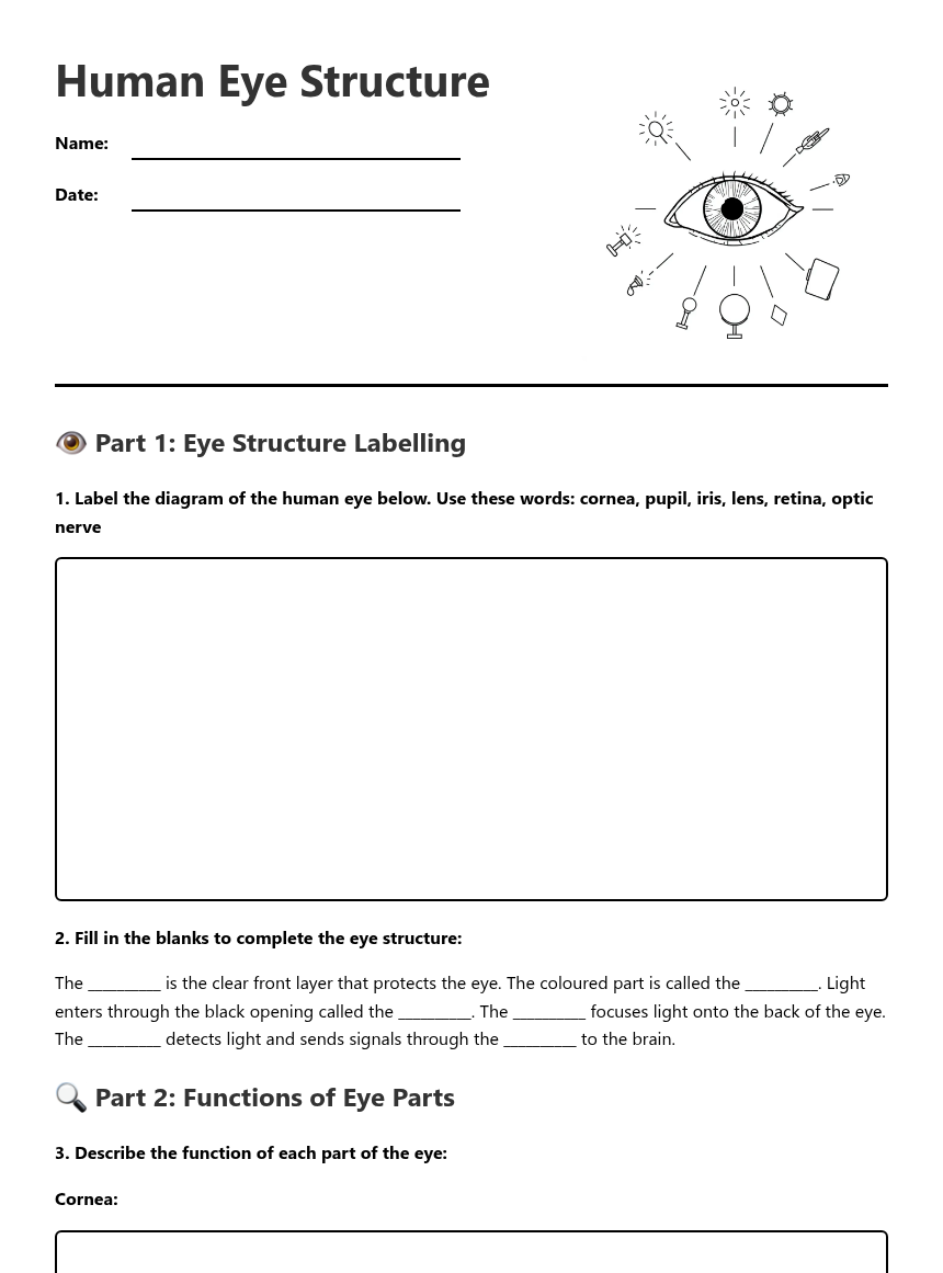 Human Eye Structure — Free Printable Worksheet for Science | Kuraplan