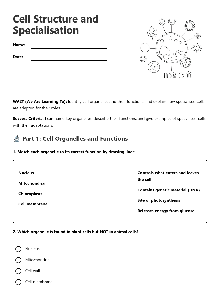 Cell Structure and Specialisation — Free Printable Worksheet for ...