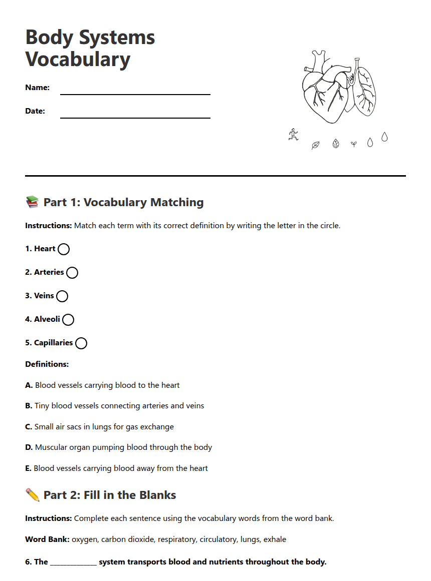 Body Systems Vocabulary — Free Printable Worksheet for Health | Kuraplan
