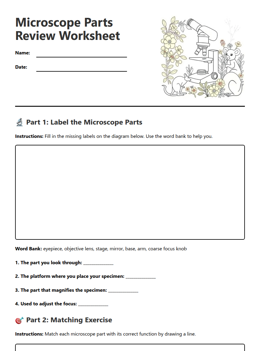 Microscope Parts Review Worksheet | Kuraplan